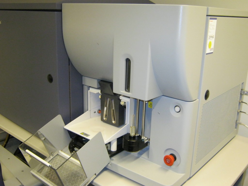 David Bryder: Vad får stamceller att åldras? – Vetenskap och Hälsa