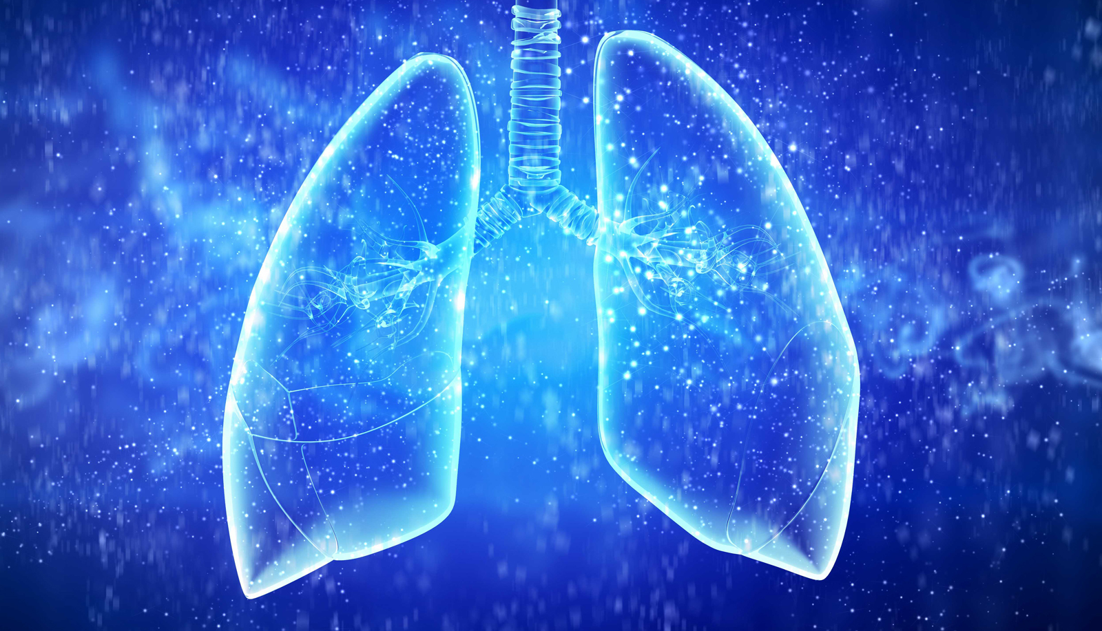 Framtidens hälsoundersökningar på prov i SCAPIS – Vetenskap och Hälsa