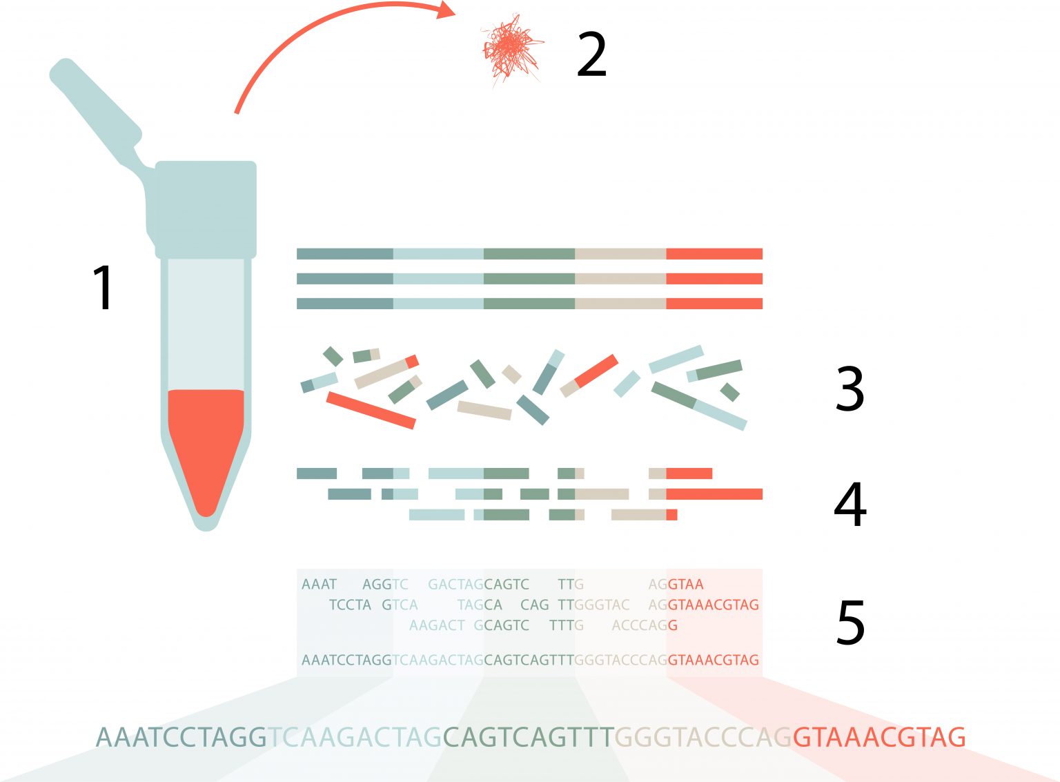 Fakta NGS, next generation sequencing – Vetenskap och Hälsa
