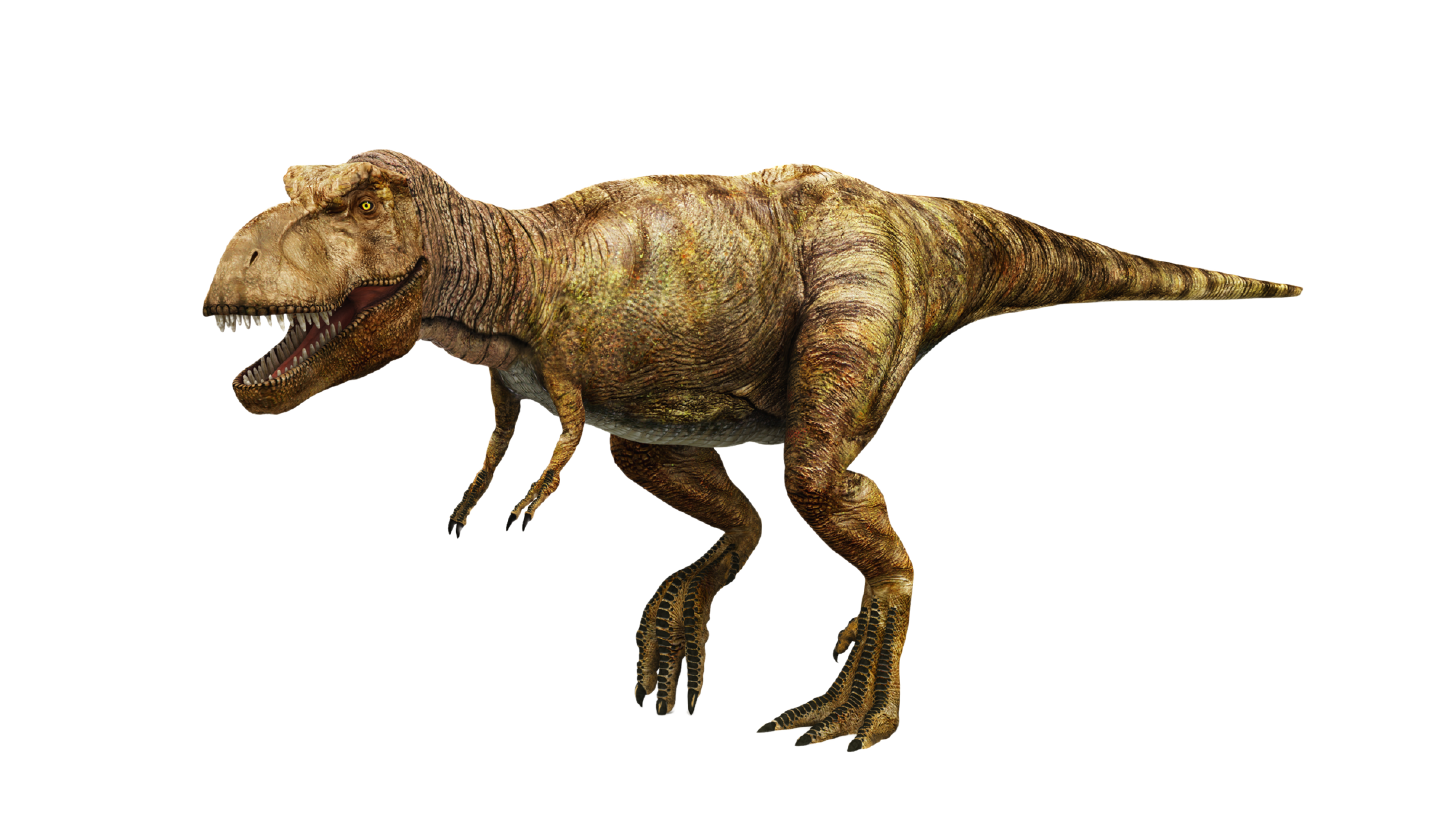 Redan dinosaurierna hade artros – Vetenskap och Hälsa